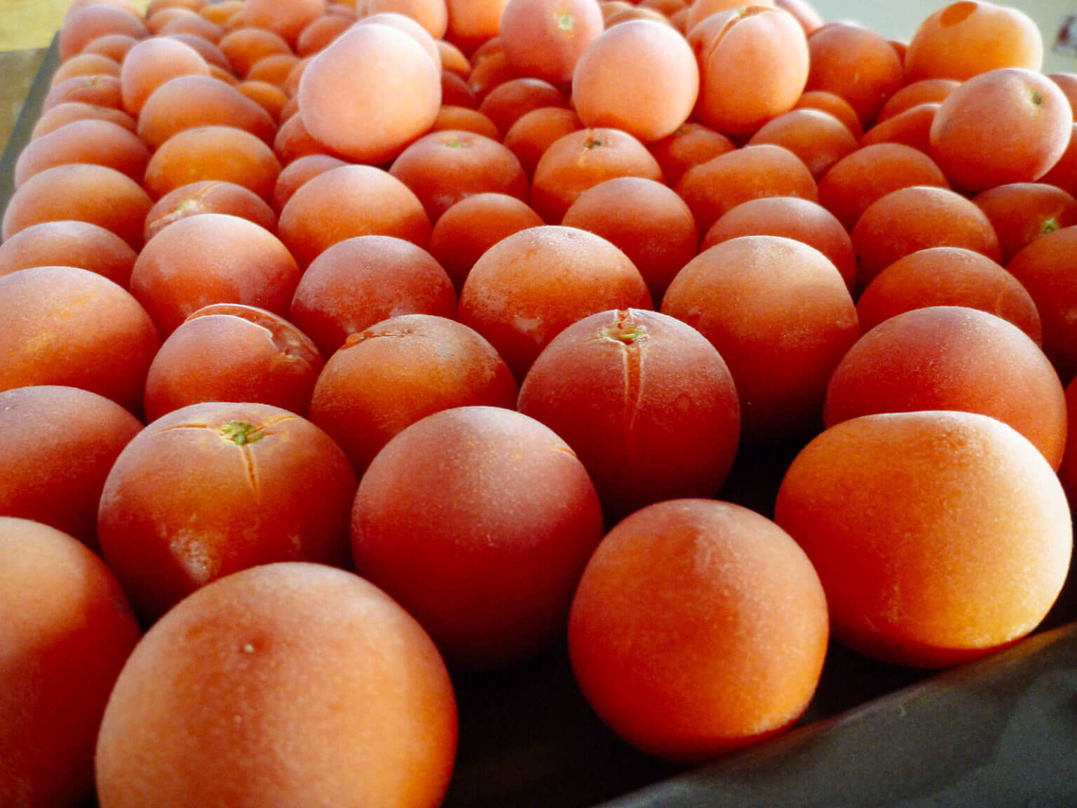 The 30 Best Tasting Heirloom Tomato Varieties (By Color!) – Garden Betty