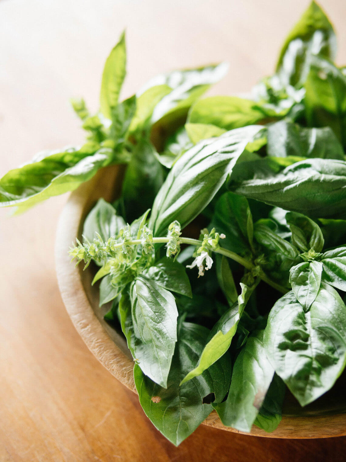 An Easier Way to Preserve Basil - Garden Betty