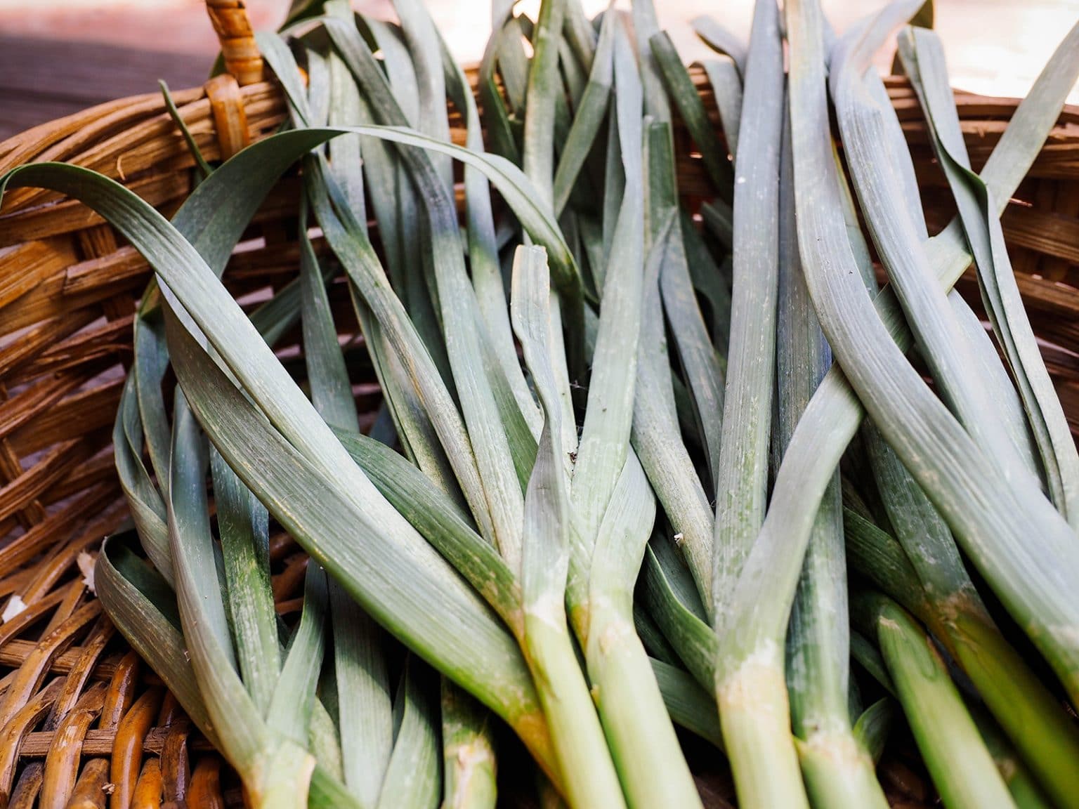 How to Grow and Harvest Green Garlic—The Bonus Crop You Never Knew You ...