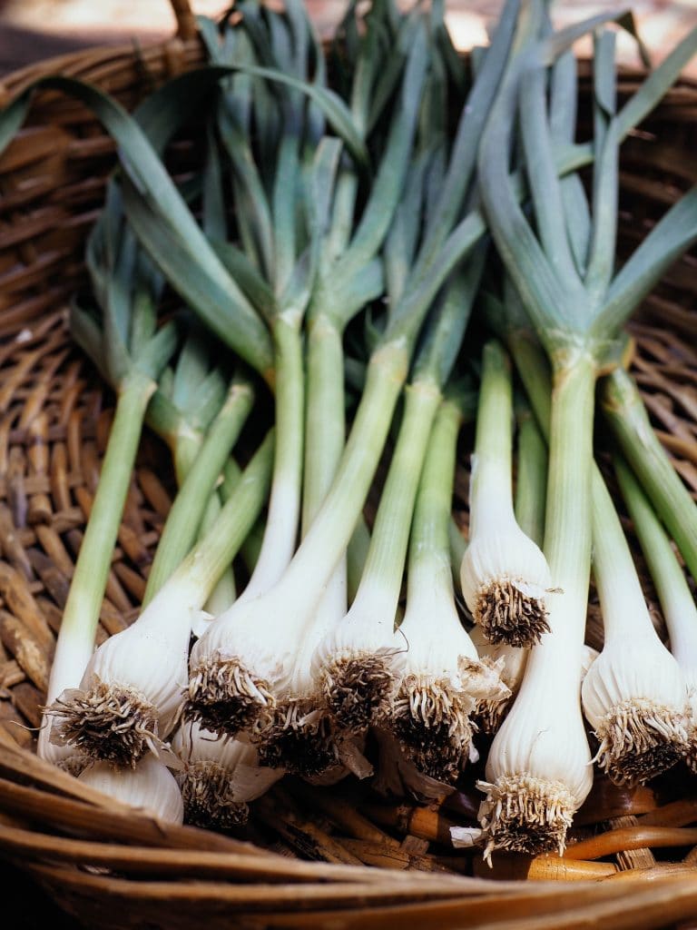 How to Grow and Harvest Green Garlic—The Bonus Crop You Never Knew You ...