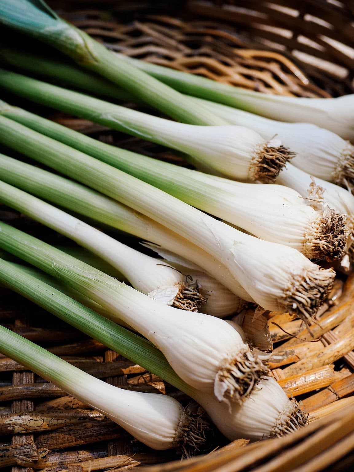 How to Grow and Harvest Green Garlic—The Bonus Crop You Never Knew You ...