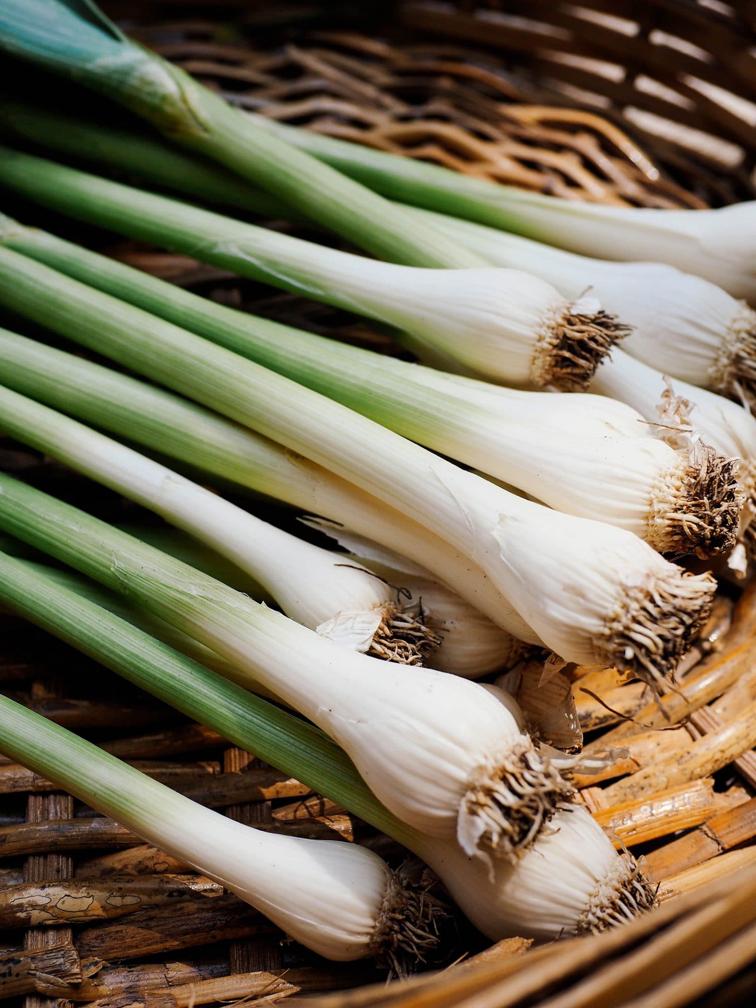 How to Grow and Harvest Green Garlic—The Bonus Crop You Never Knew You ...