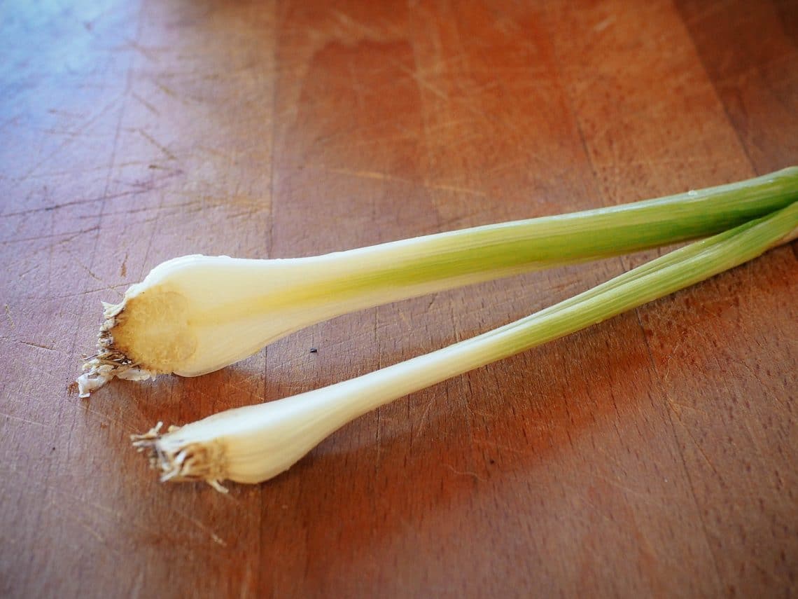 How to Grow and Harvest Green Garlic—The Bonus Crop You Never Knew You ...