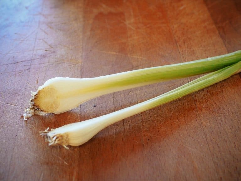 How to Grow and Harvest Green Garlic—The Bonus Crop You Never Knew You ...