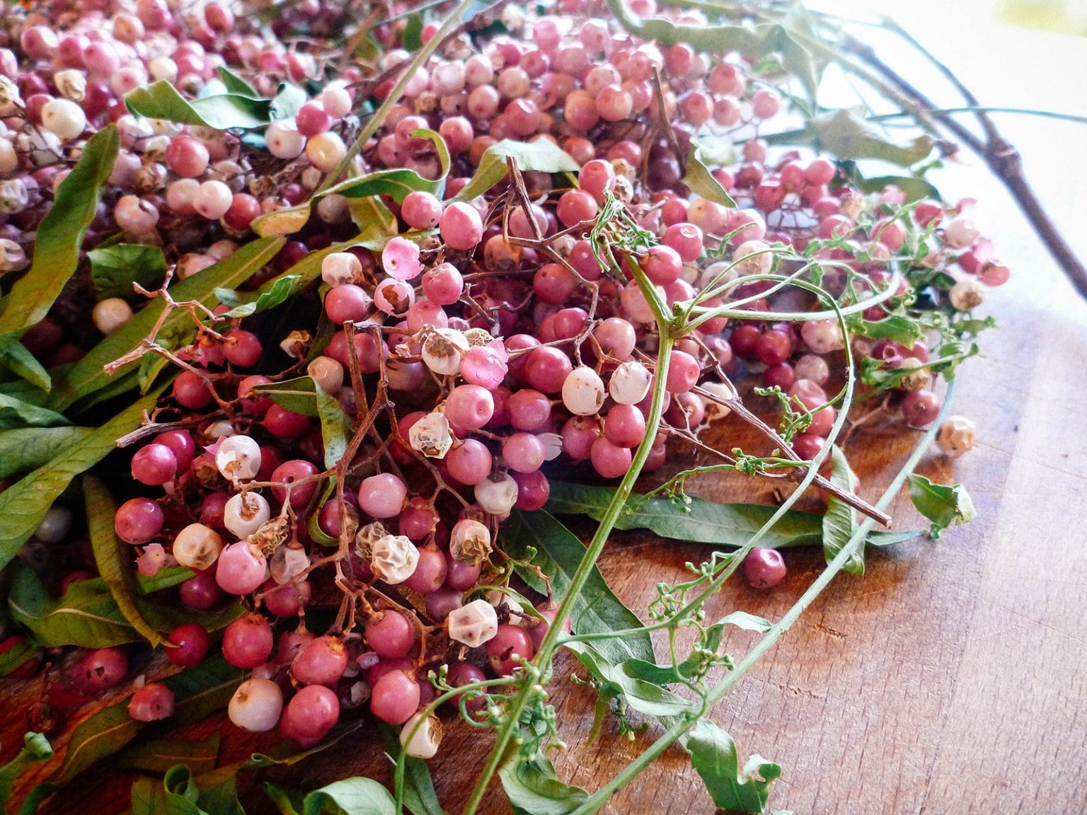 Pink Peppercorns Come From a Common Tree—Here's How to Forage Them ...