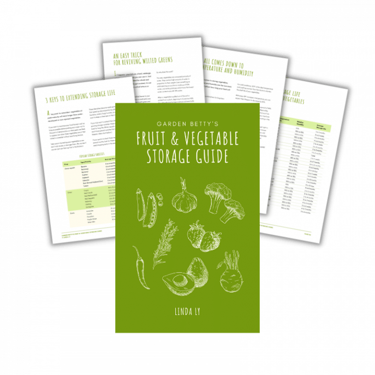 All the Best Ways to Store Vegetables Over Winter – Garden Betty