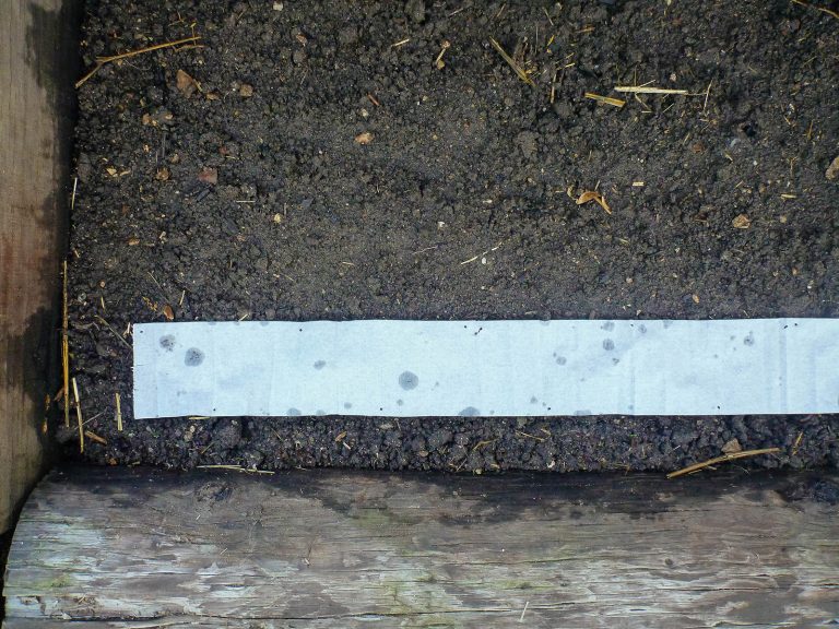 Make Your Own Seed Tape - Garden Betty