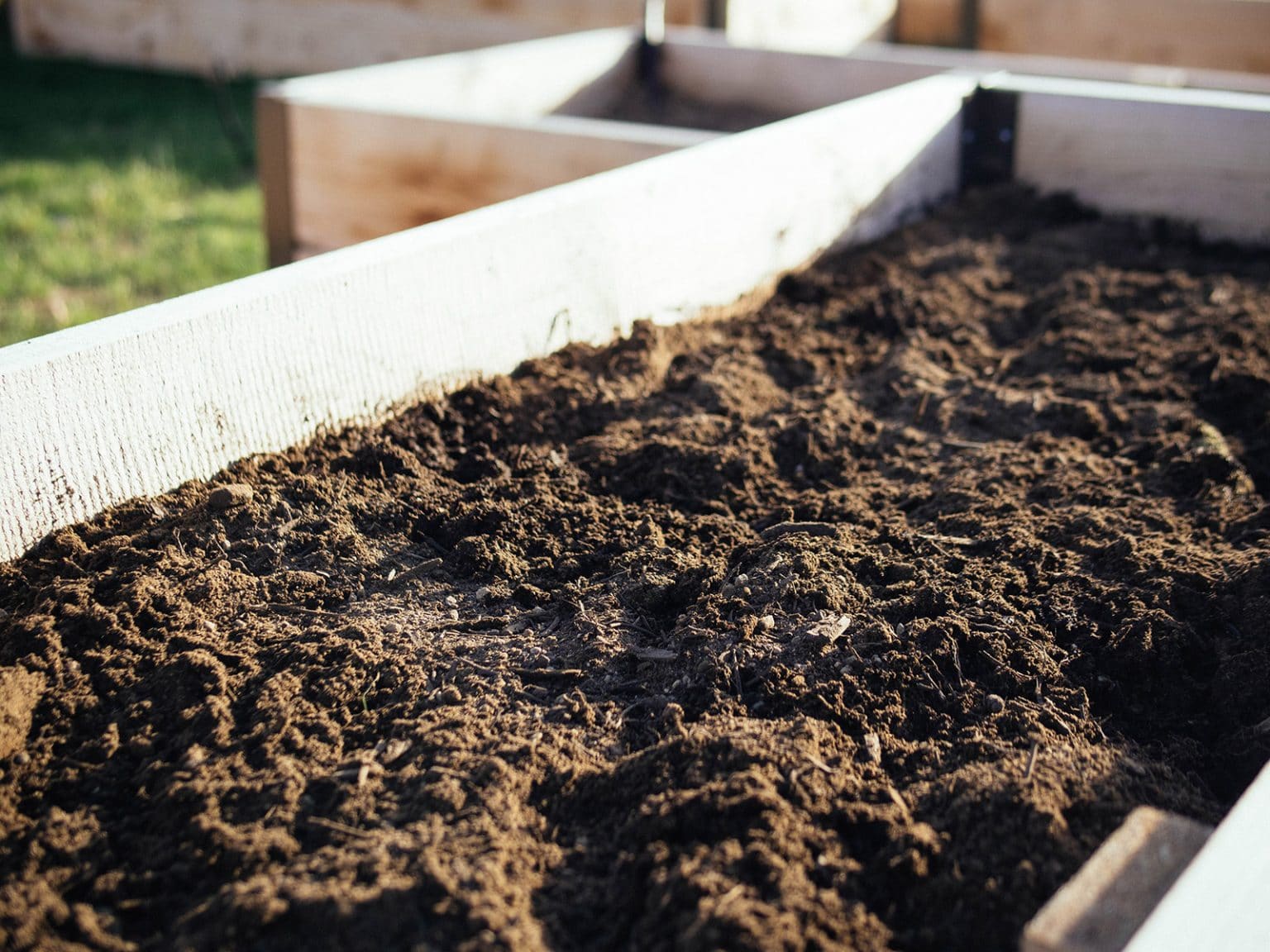 An Easier Way to Grow Asparagus: Raised Bed Planting – Garden Betty