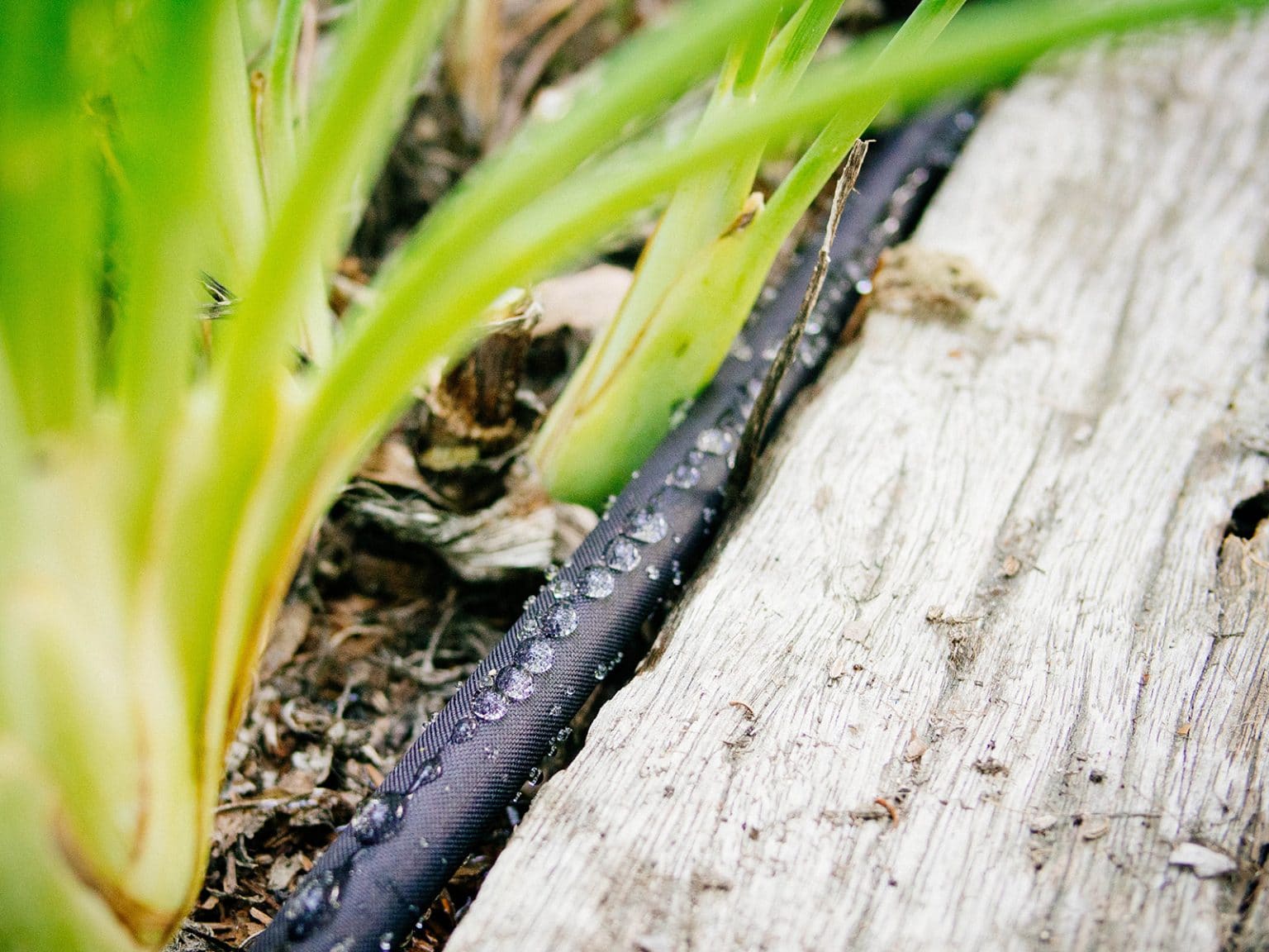 These Are the Best Soaker Hoses of 2024 - Garden Betty