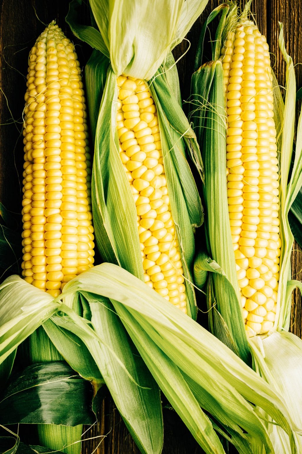 The Surprising Difference Between Corn and Maize - Garden Betty