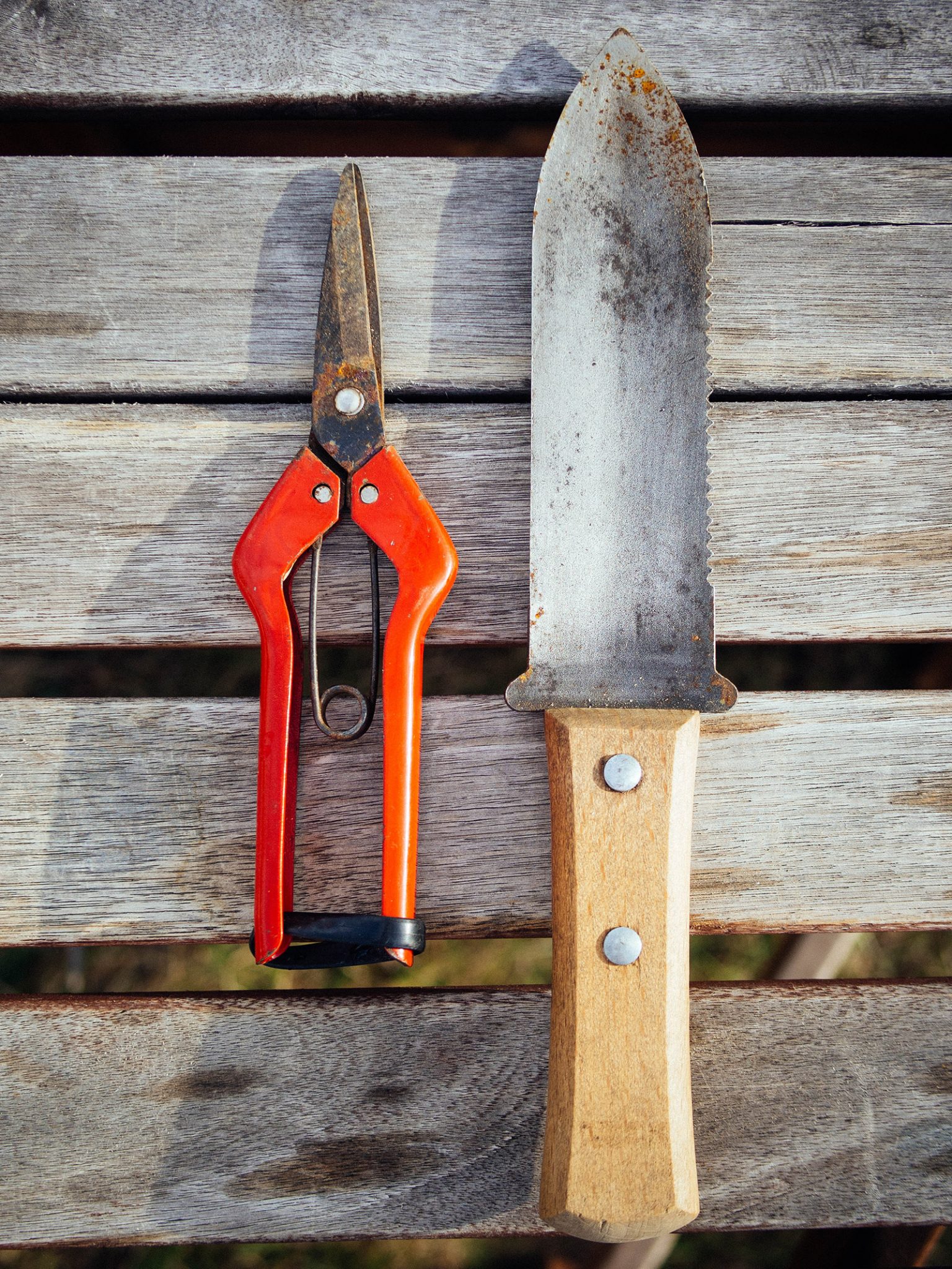 The Best Way to Remove Rust From Tools—No Scrubbing Required - Garden Betty