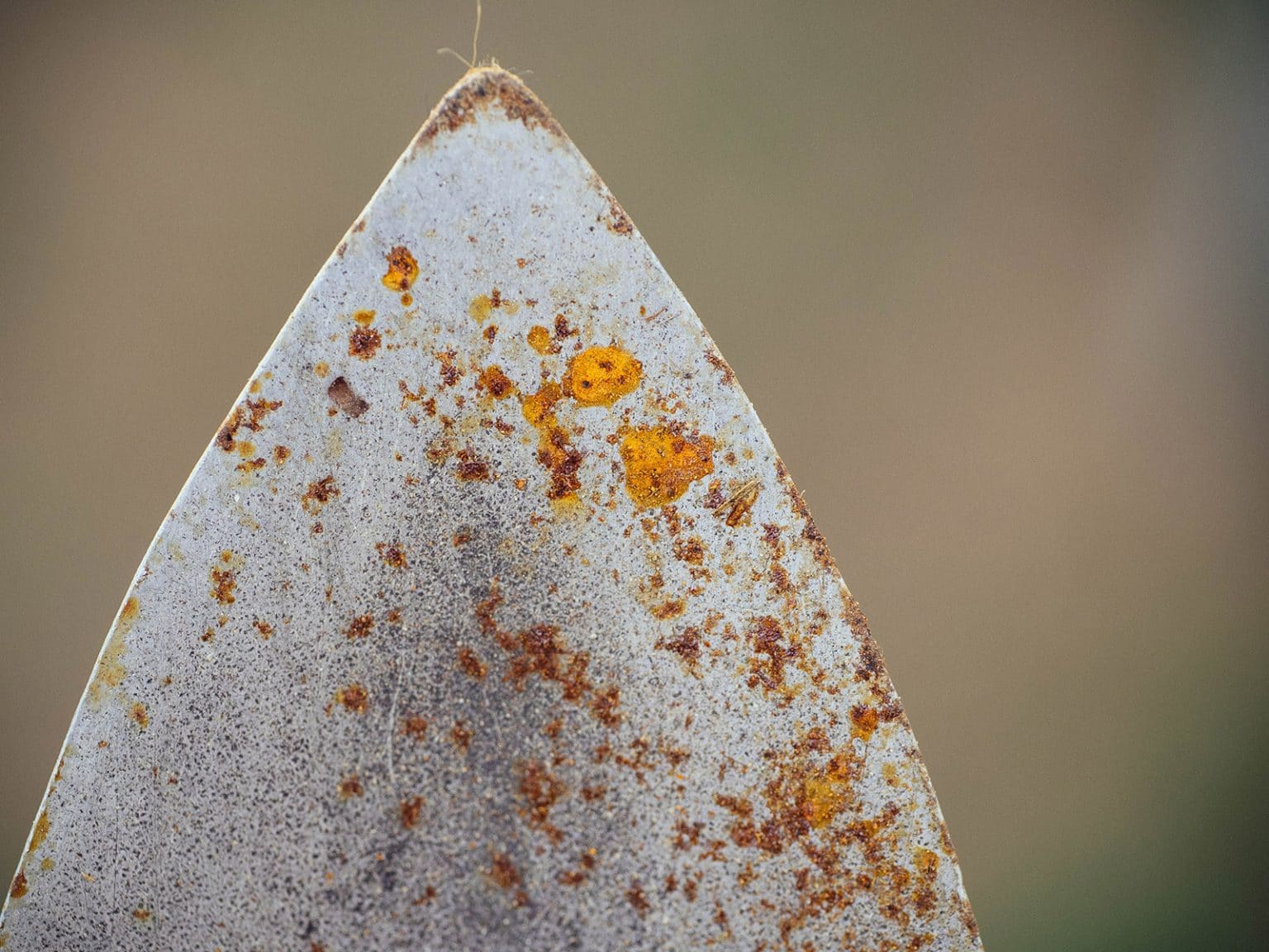 The Best Way to Remove Rust From Tools—No Scrubbing Required - Garden Betty