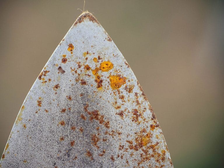 The Best Way to Remove Rust From Tools—No Scrubbing Required - Garden Betty