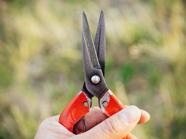 The Best Way to Remove Rust From Tools—No Scrubbing Required - Garden Betty
