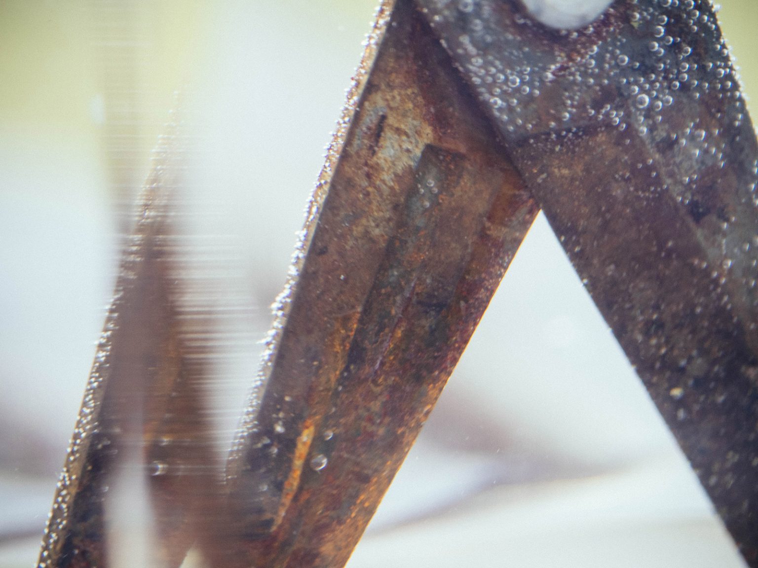 The Best Way to Remove Rust From Tools—No Scrubbing Required – Garden Betty