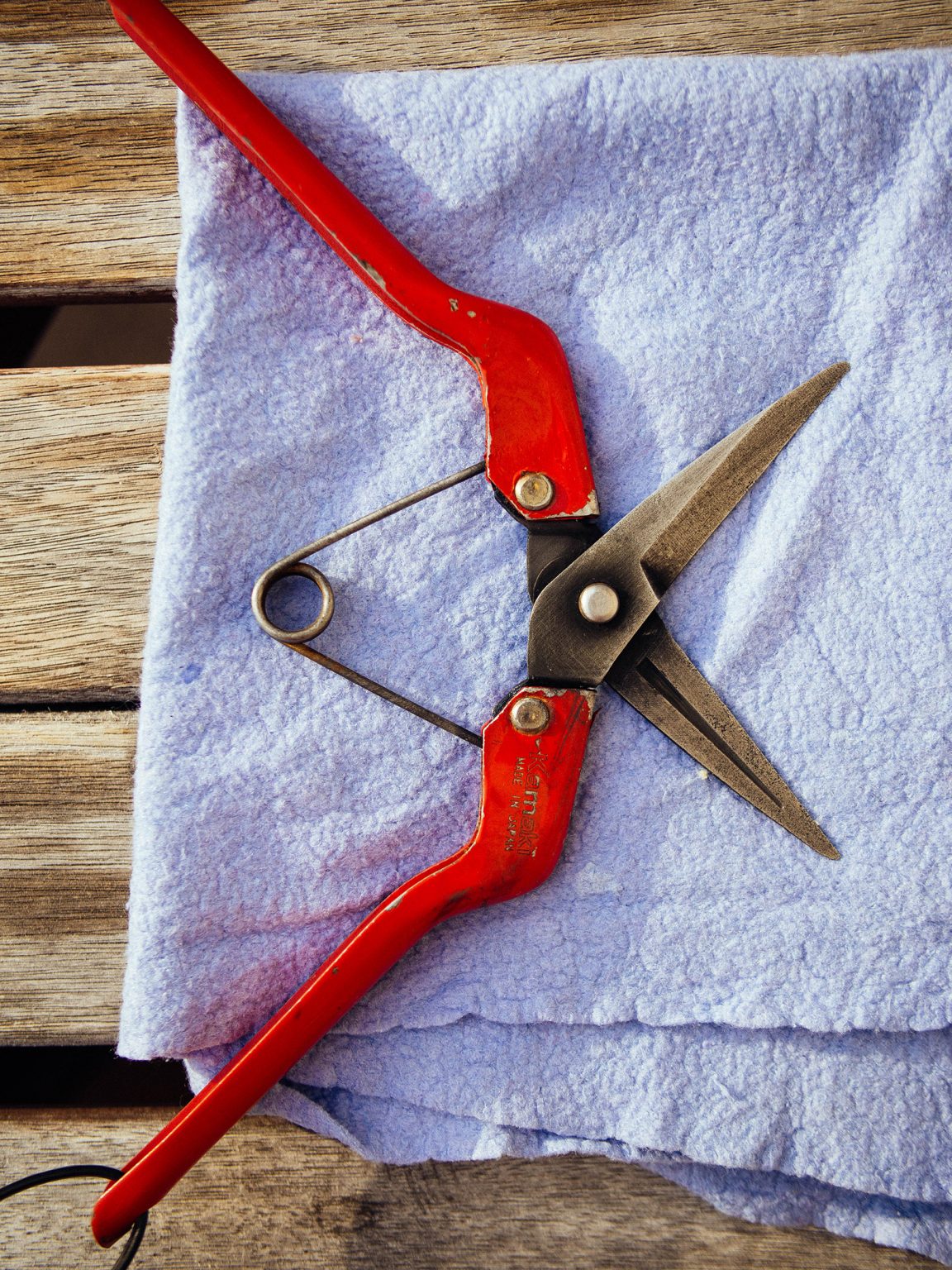 The Best Way to Remove Rust From Tools—No Scrubbing Required - Garden Betty