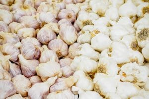 How to Choose the Best Garlic Varieties For Your Garden - Garden Betty