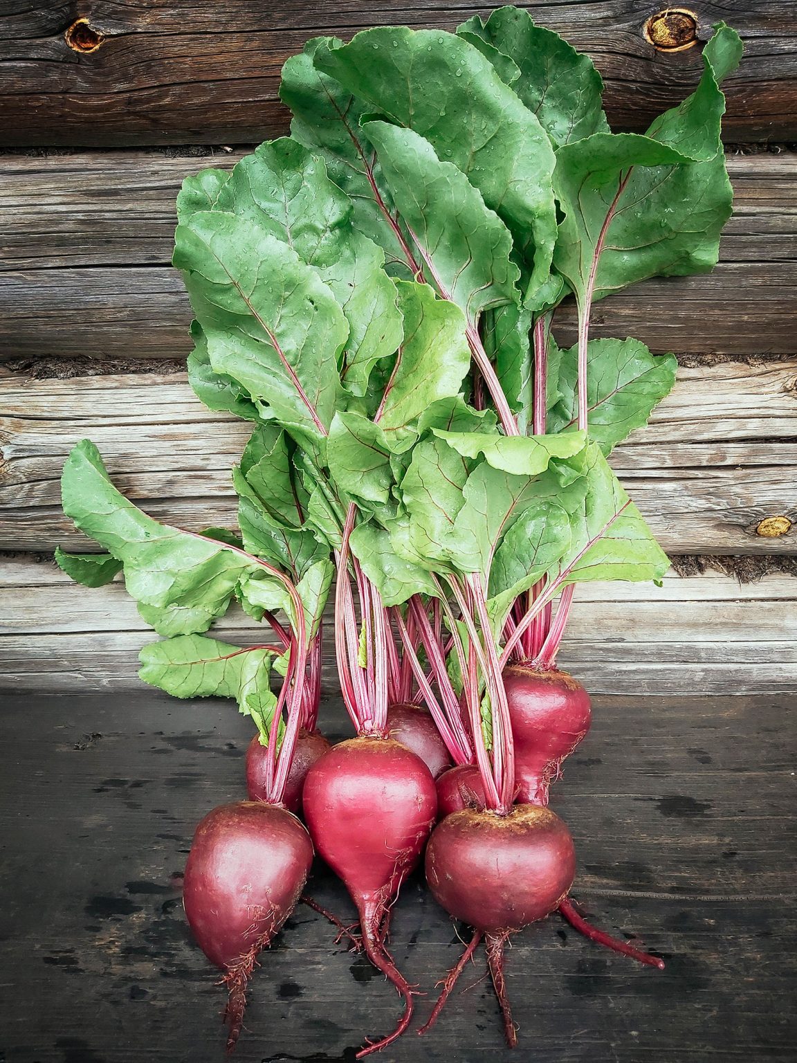 10 Fast-Growing Vegetables to Plant in Late Summer (and Harvest in 40 ...