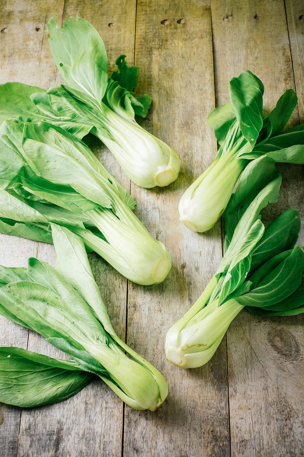 10 Fast-Growing Vegetables to Plant in Late Summer (and Harvest in 40 ...