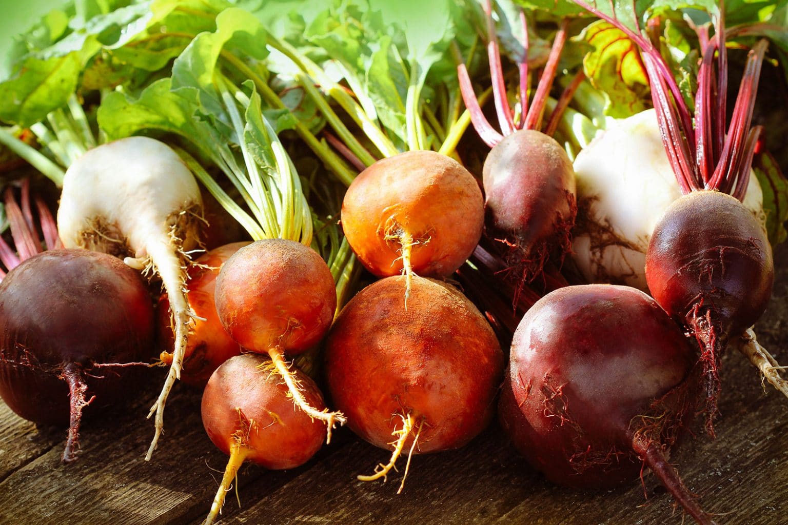 10 Easiest Vegetables To Grow Indoors Year Round No Grow Lights Needed