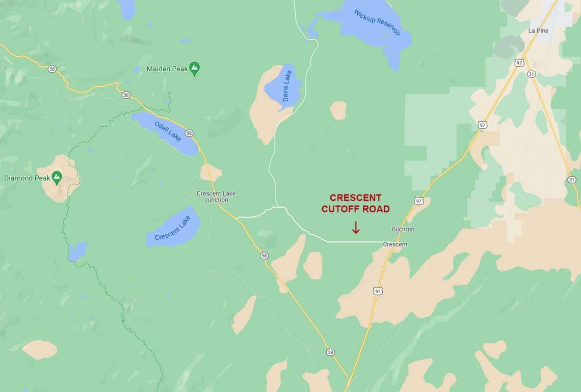 Locals' Secret: Where to Cut Your Own Christmas Tree in Oregon's ...