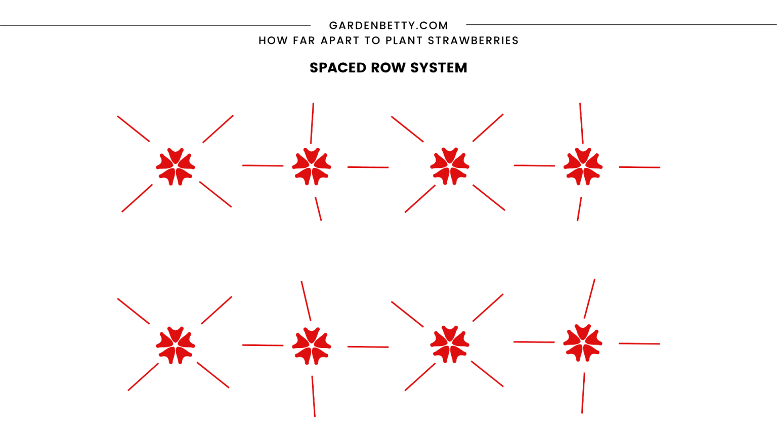 How Far Apart to Plant Strawberries for the Biggest, Juiciest Berries ...