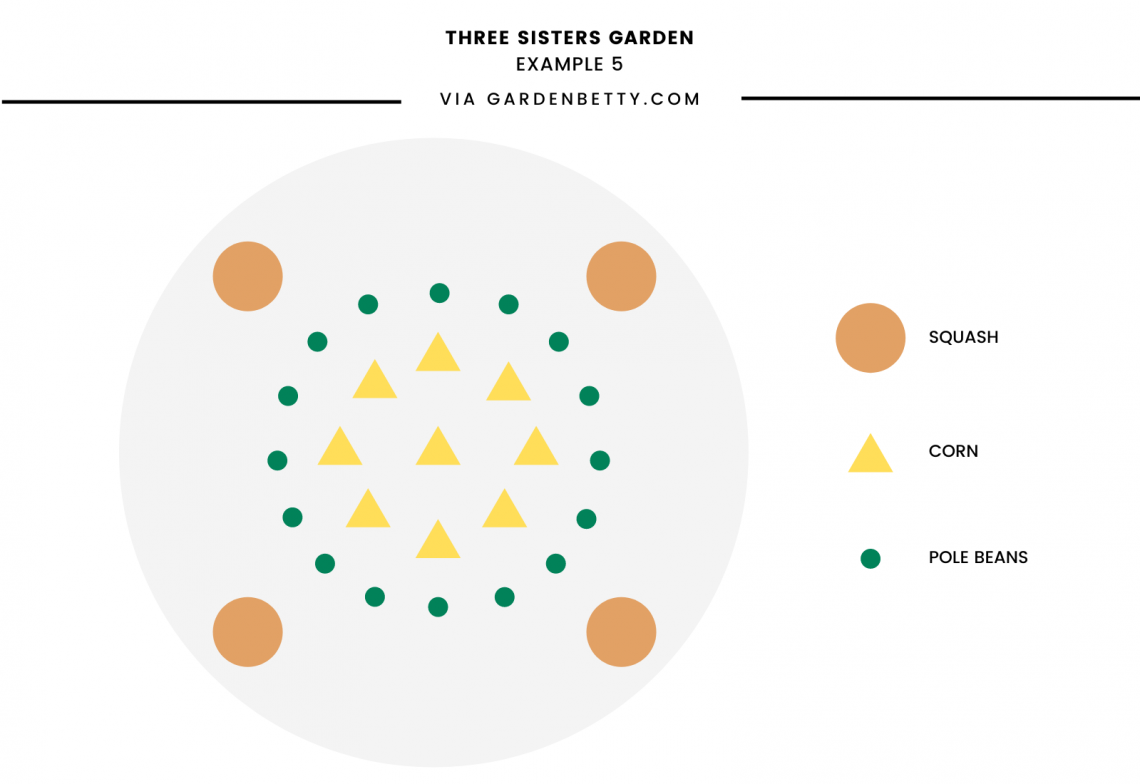 How to Plant a Three Sisters Garden: The Original Companion Plants ...