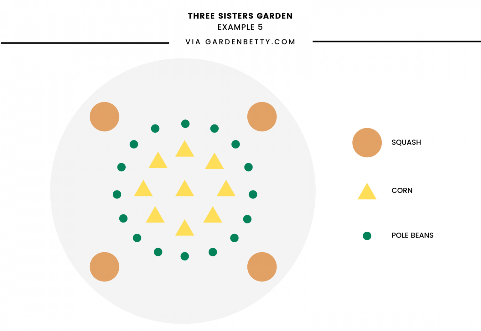 How to Plant a Three Sisters Garden: The Original Companion Plants ...