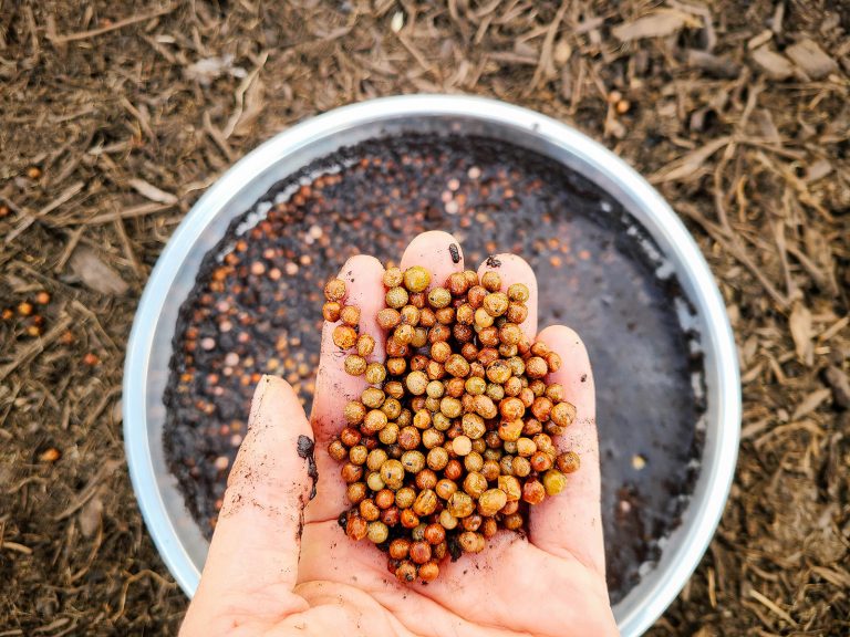 How and When to Use Soil Inoculants - Garden Betty