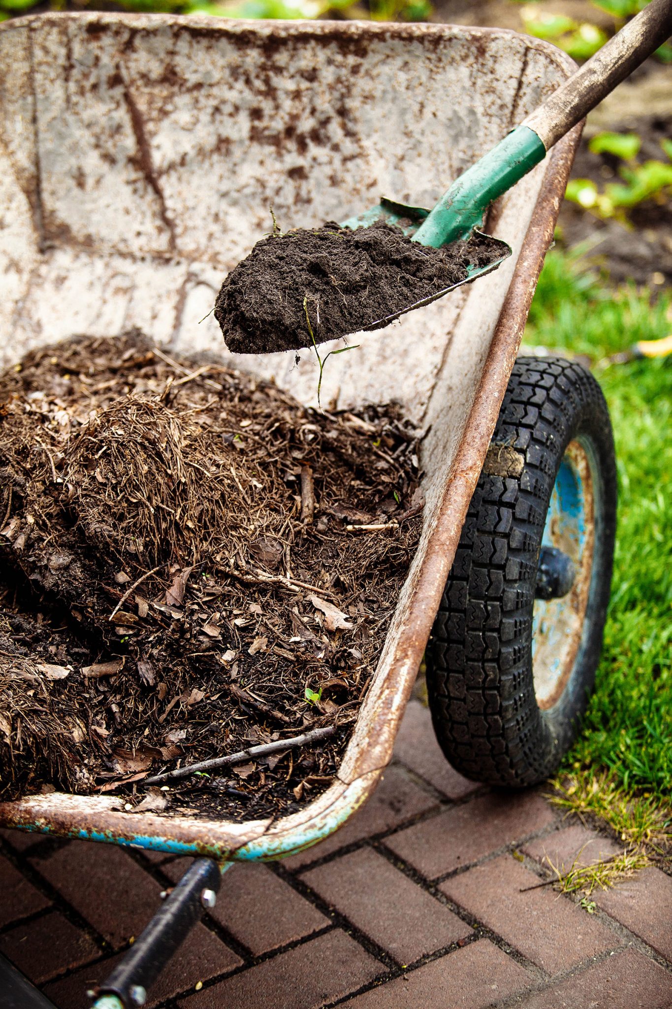 42 Surprising Things You Can Compost Right Now - Garden Betty