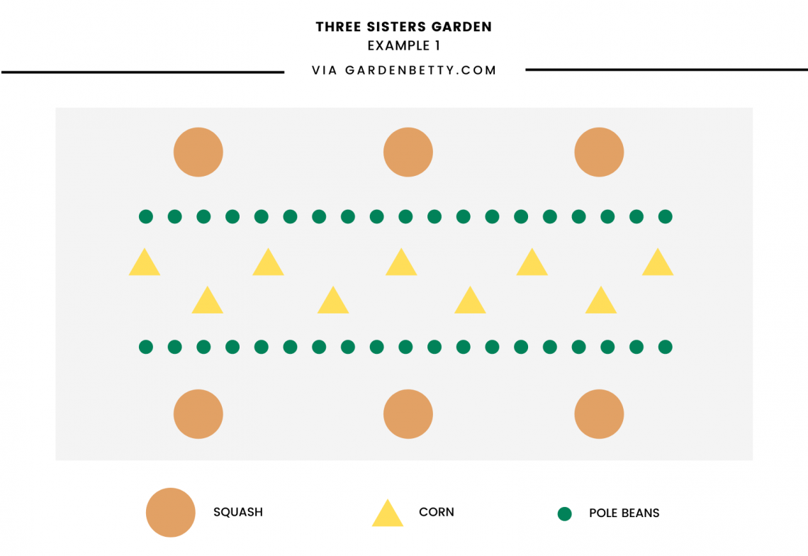 How to Plant a Three Sisters Garden: The Original Companion Plants ...