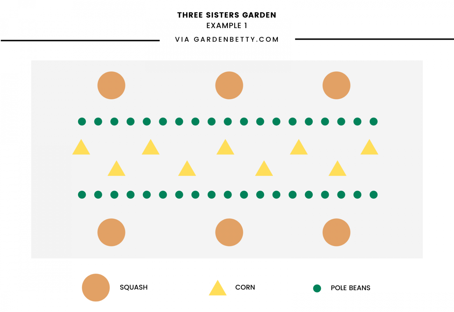 How to Plant a Three Sisters Garden: The Original Companion Plants ...