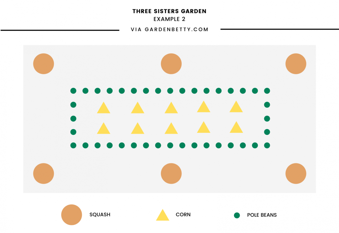 How to Plant a Three Sisters Garden: The Original Companion Plants ...