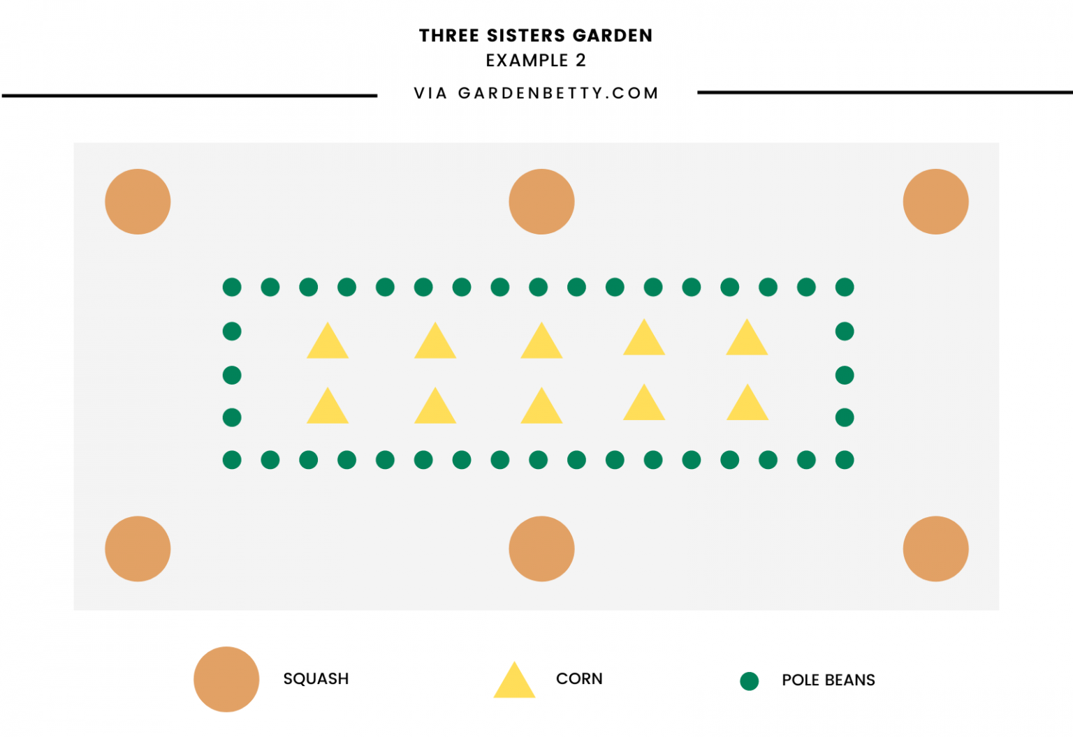 How to Plant a Three Sisters Garden: The Original Companion Plants ...