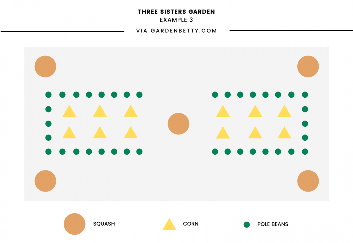 How to Plant a Three Sisters Garden: The Original Companion Plants ...