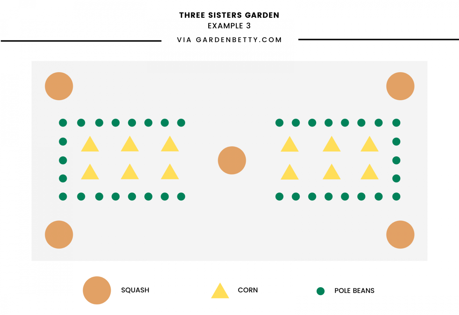 How to Plant a Three Sisters Garden: The Original Companion Plants ...