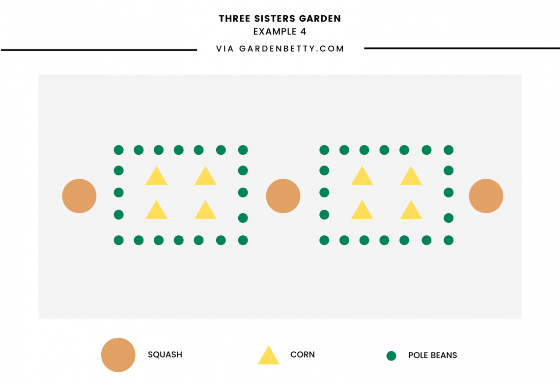 How to Plant a Three Sisters Garden: The Original Companion Plants ...