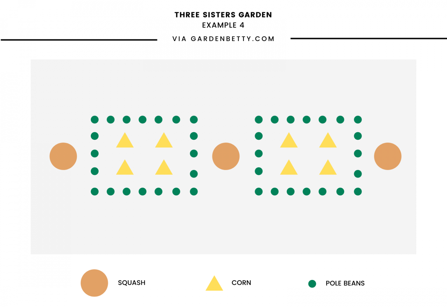 How to Plant a Three Sisters Garden: The Original Companion Plants ...