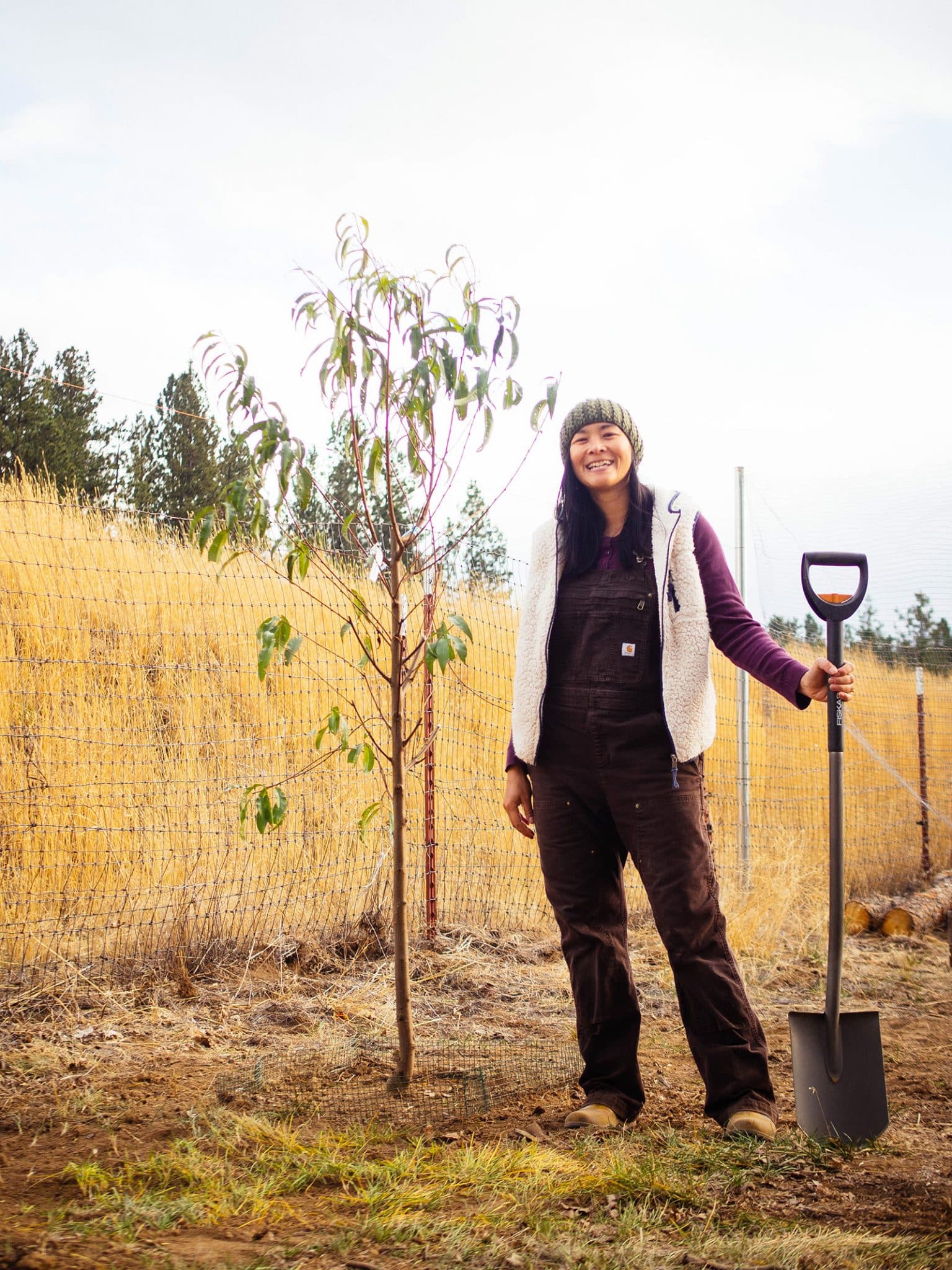 Why It's Better to Plant Trees in Fall (Here's How) - Garden Betty