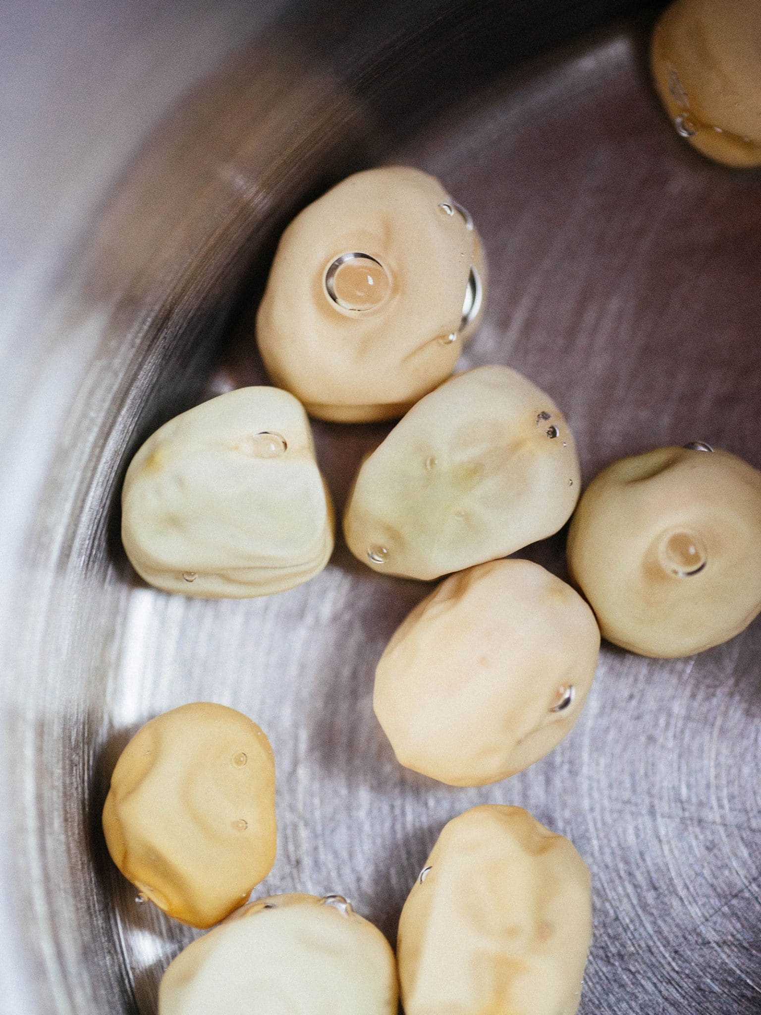 6 Foolproof Tips to Germinate Hard-to-Start Seeds—Fast! - Garden Betty