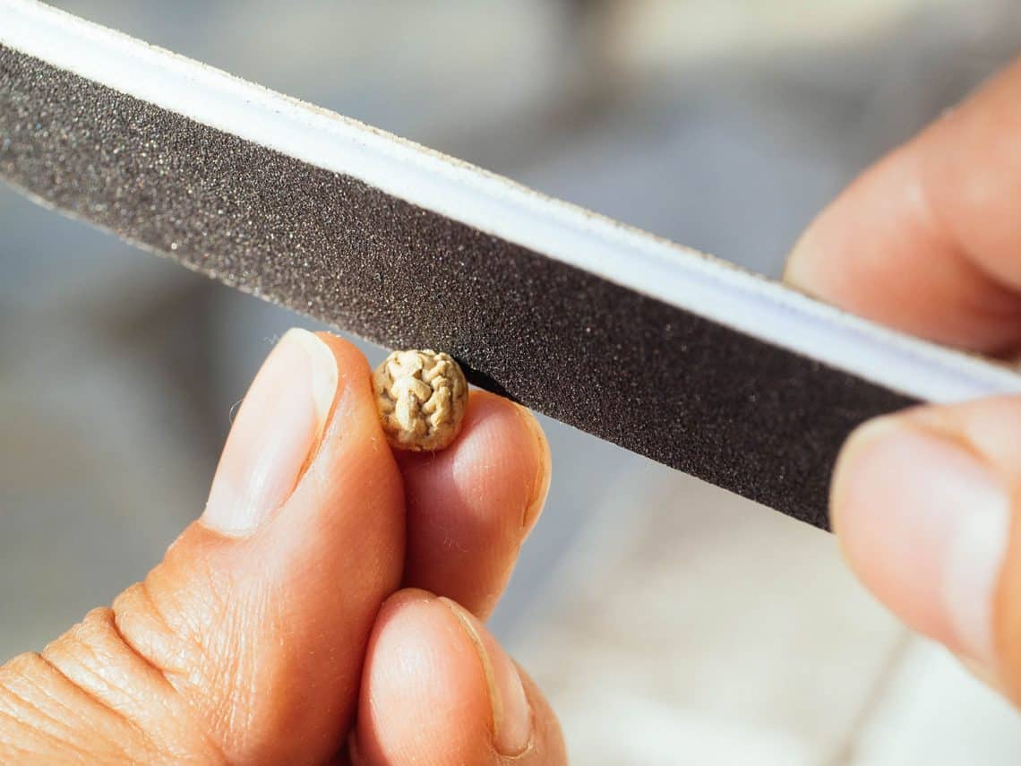 6 Foolproof Tips to Germinate Hard-to-Start Seeds—Fast! - Garden Betty