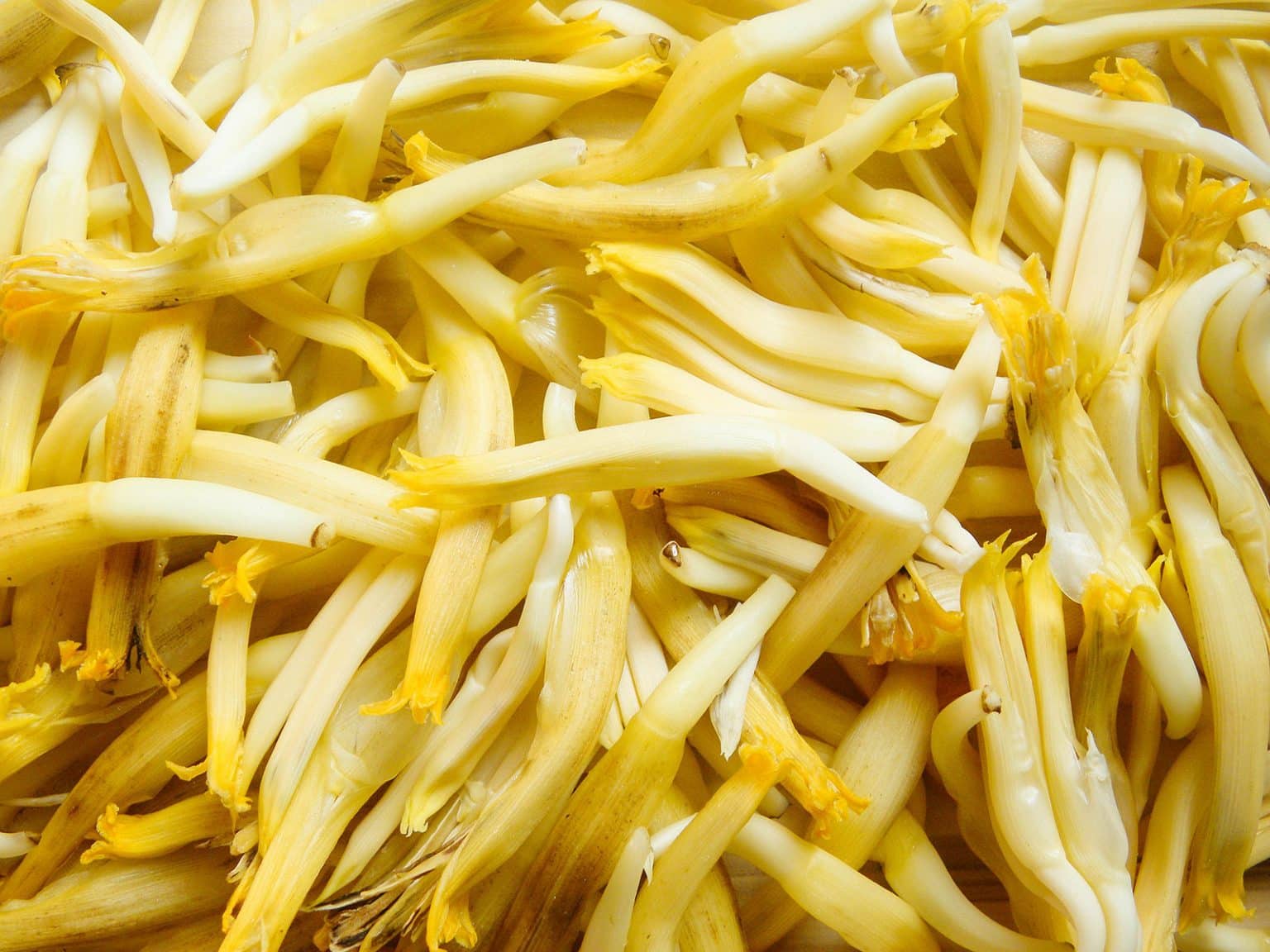 Banana Flowers Are an Unexpected Superfood You Should Start Eating ...