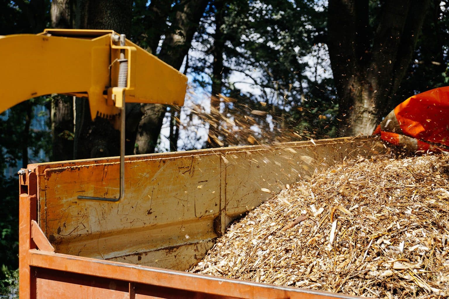 12 Best Types of Organic Mulch: Let’s Break It Down – Garden Betty