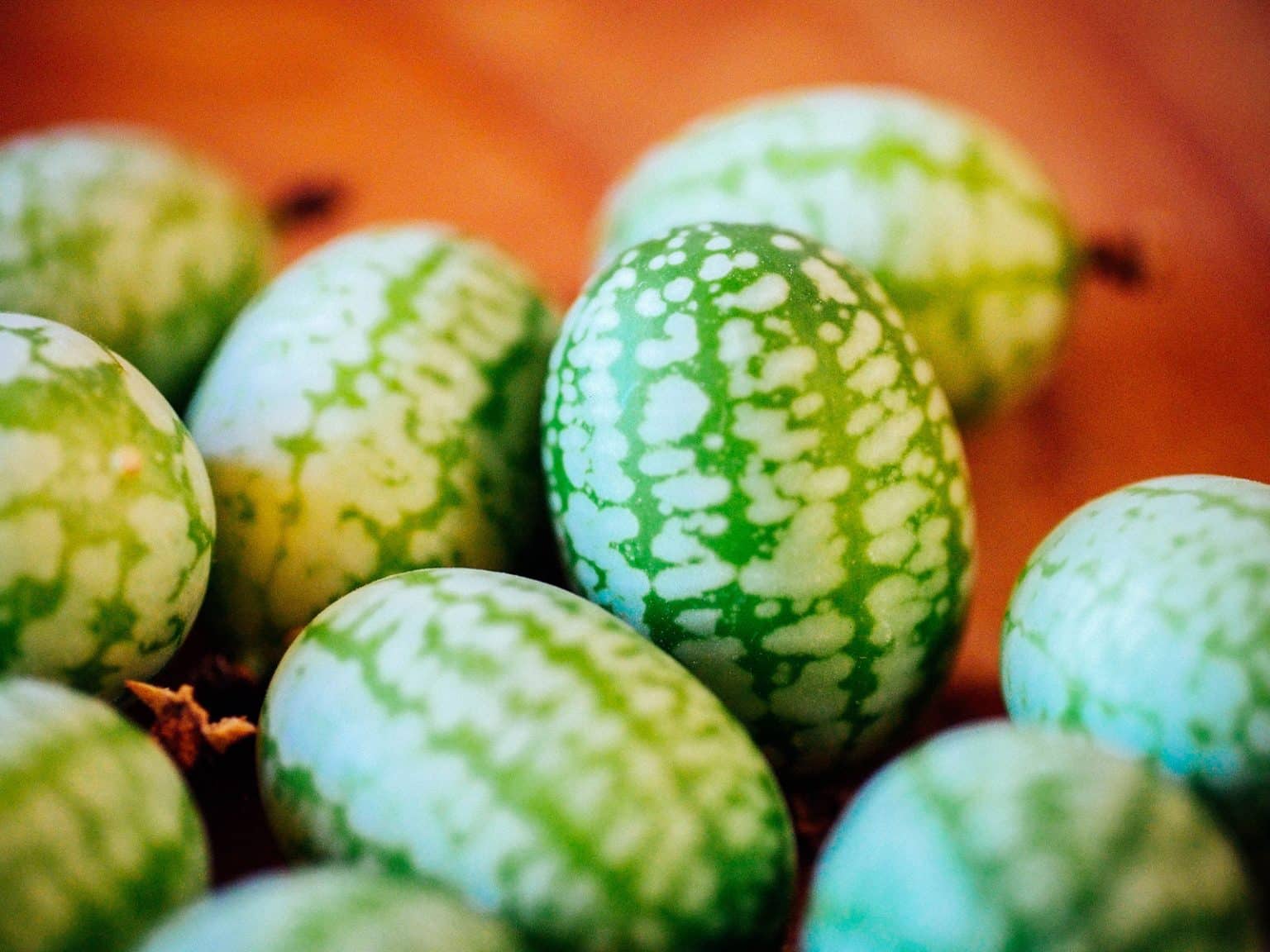 The Best Way to Grow Cucamelons (Mexican Sour Gherkins) - Garden Betty