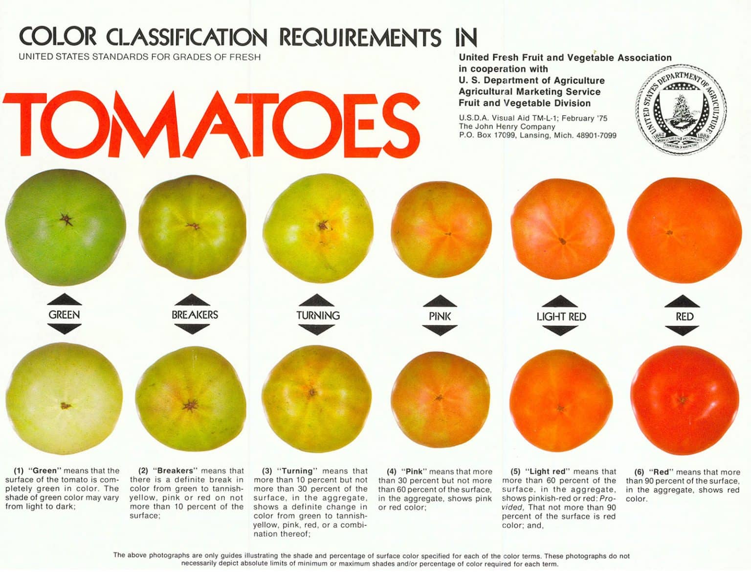The Best Time to Pick Tomatoes for Peak Quality (It's Not What You ...