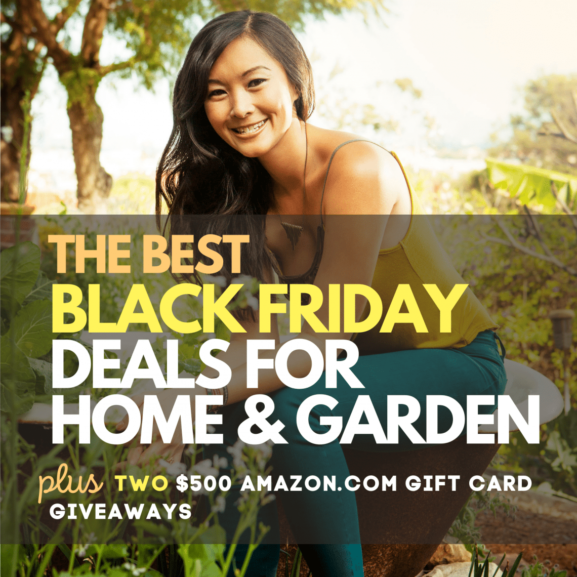 The Best Black Friday Deals From Amazon for Your Home and Garden ...
