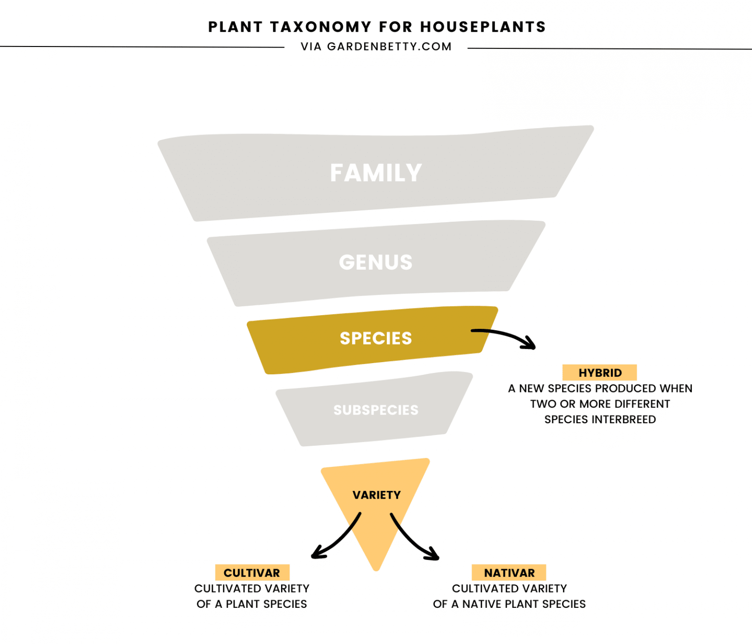 What Are Cultivars, Varieties, Hybrids and More: Layman's Guide to ...