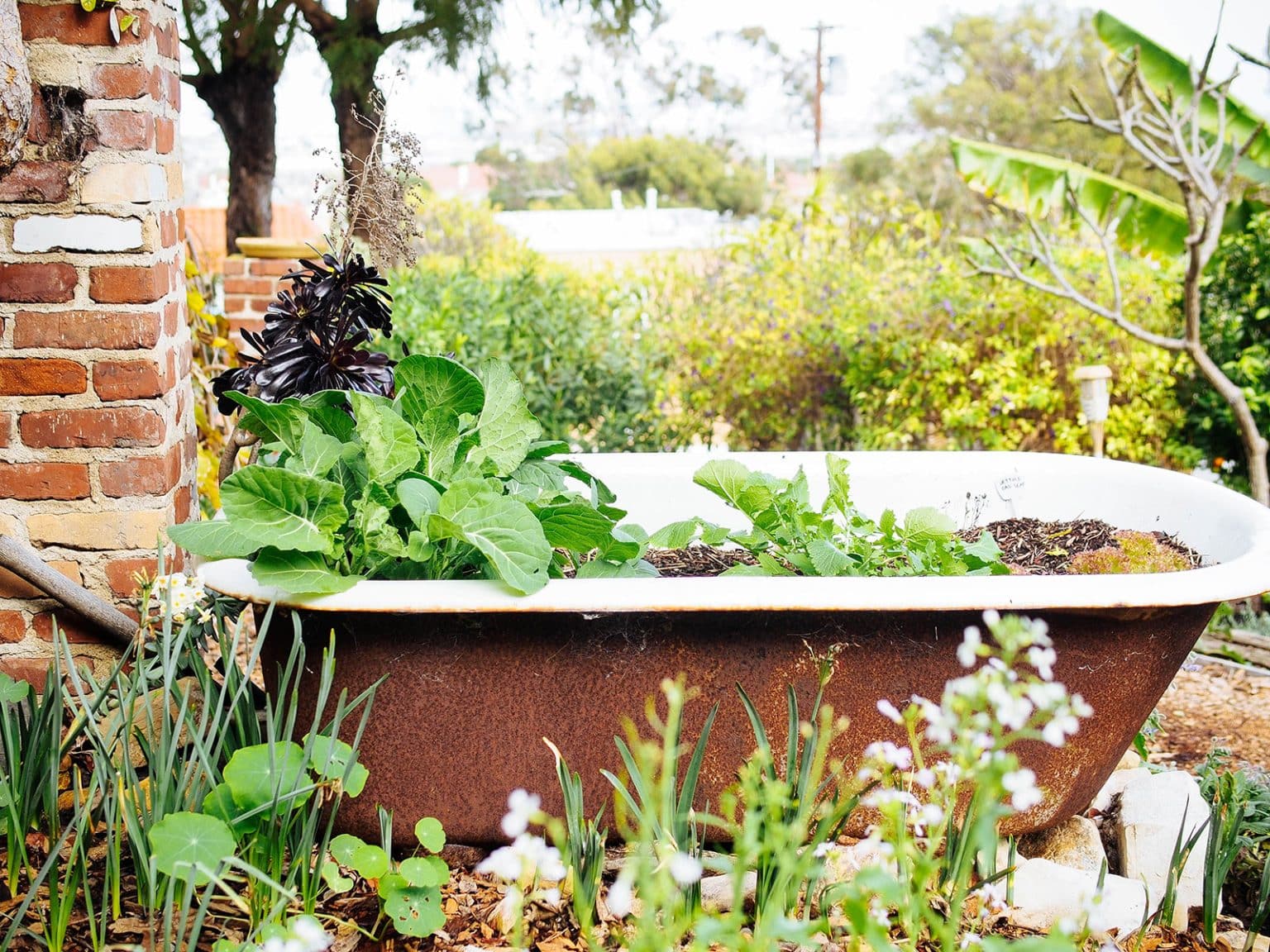 How I Turned a Vintage Clawfoot Bathtub Into a Planter - Garden Betty