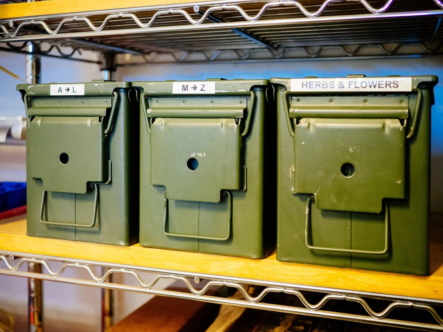 Seed Storage Made Simple - Garden Betty