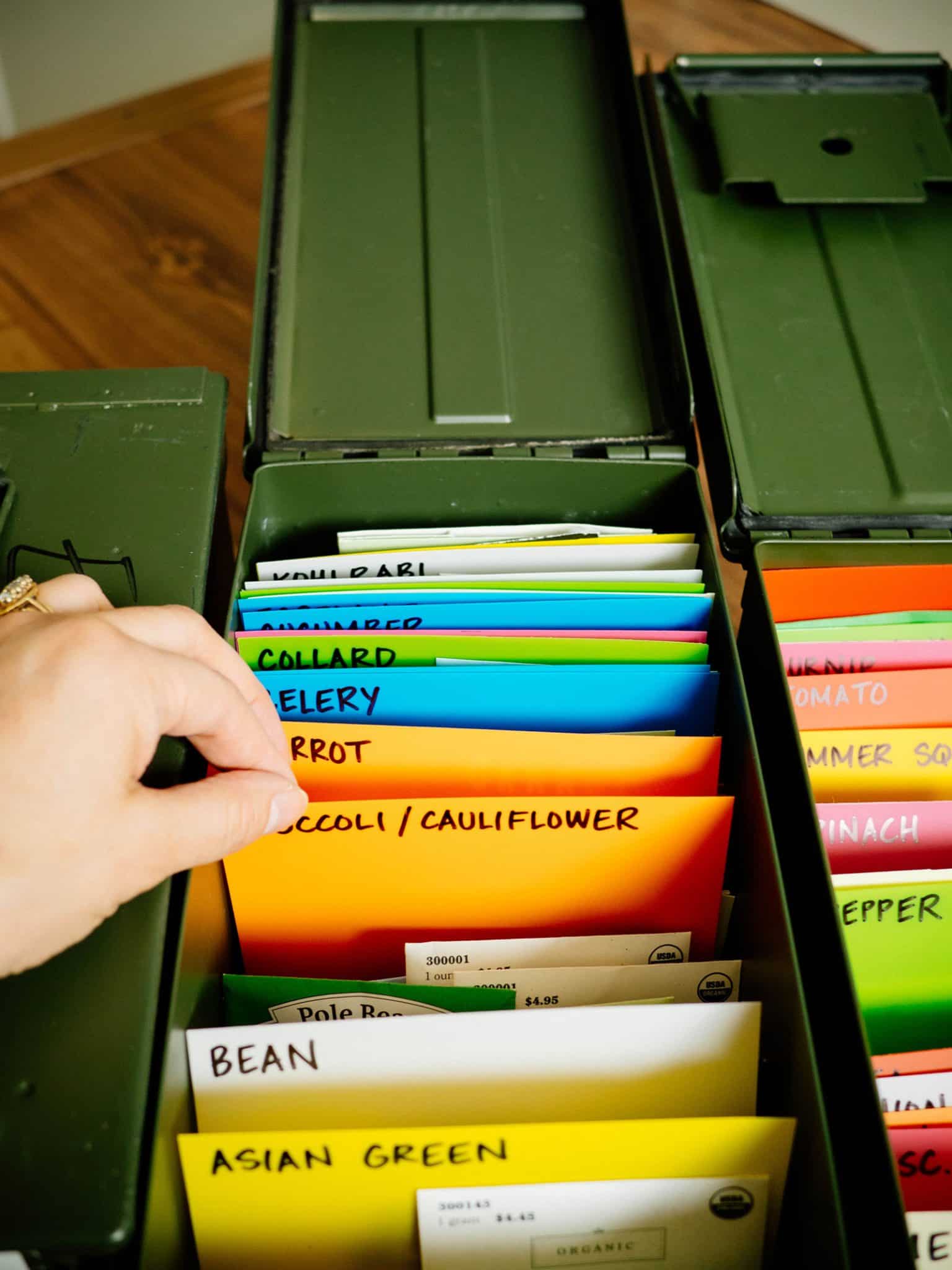 Seed Storage Made Simple - Garden Betty